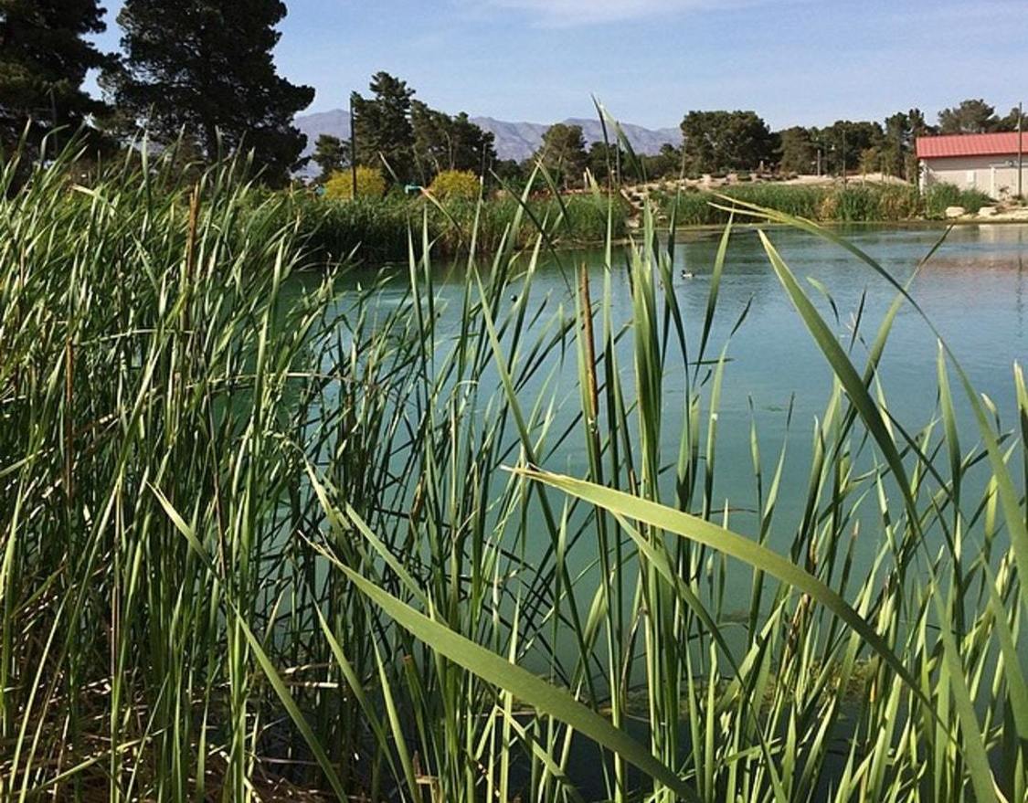 Live Music at Craig Ranch Amphitheater | North Las Vegas Live Music ...